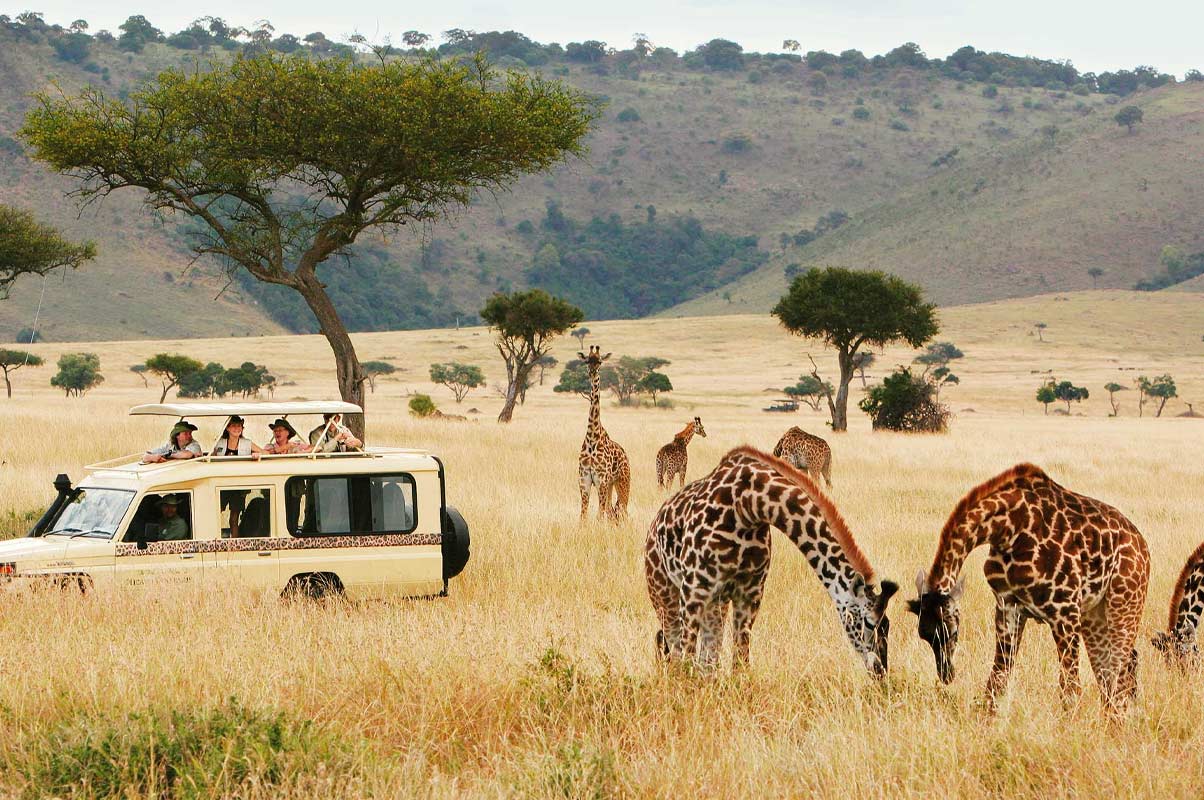 SERENGETI NATIONAL PARK: A COMPLETE GUIDE – Lights on Africa Destinations & Safaris